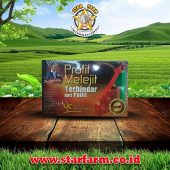 Pasti Berhasil! Berikut Panduan Cara Ternak Domba bagi Pemula – Star ...