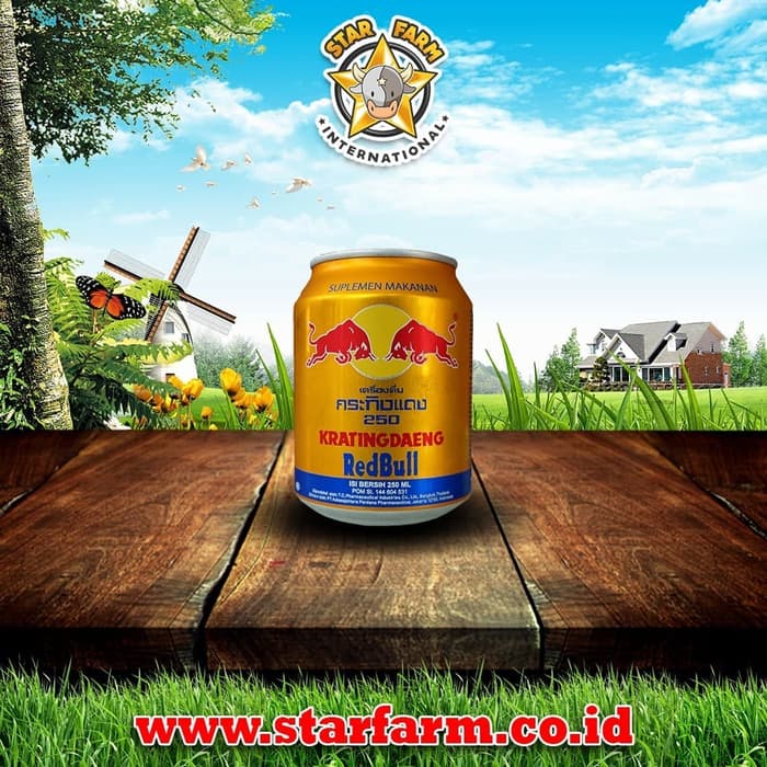 Krating Daeng 250ml Red Bull - Star Farm – Star Farm International