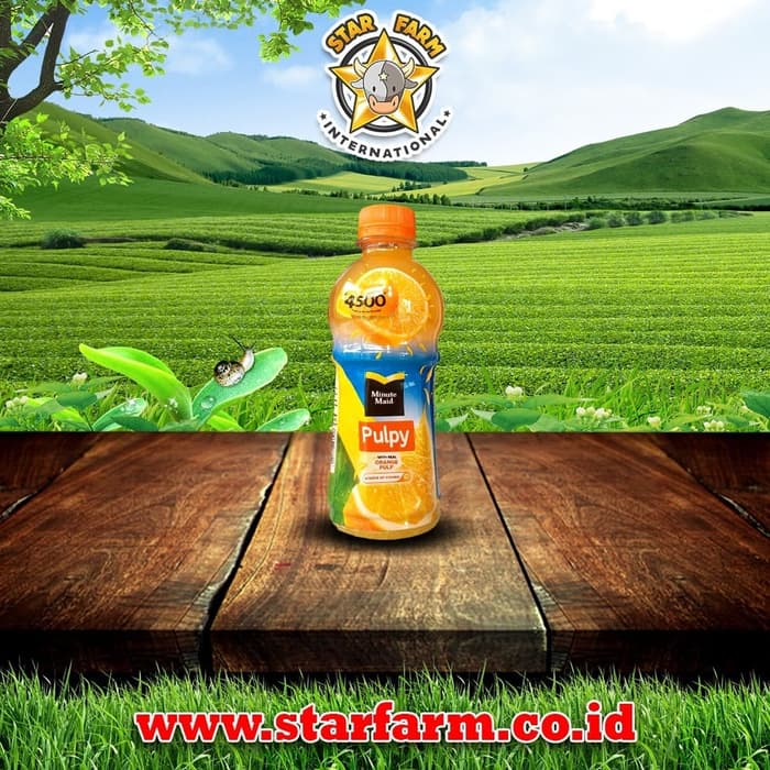 Minute Maid Pulpy Orange 300 Ml - Star Farm – Star Farm International