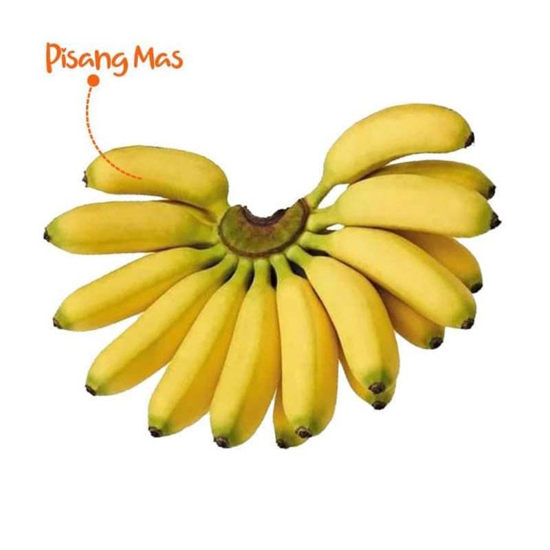 Empat Jenis Pisang yang Cocok untuk Dimakan Langsung. – Star Farm ...