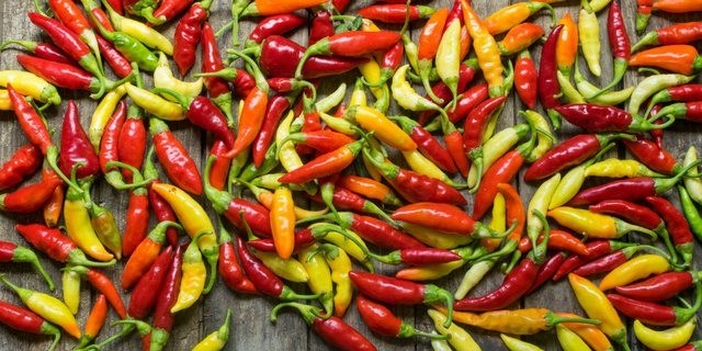 Mengenal 5 Jenis Cabai yang Populer di Indonesia – Star Farm International