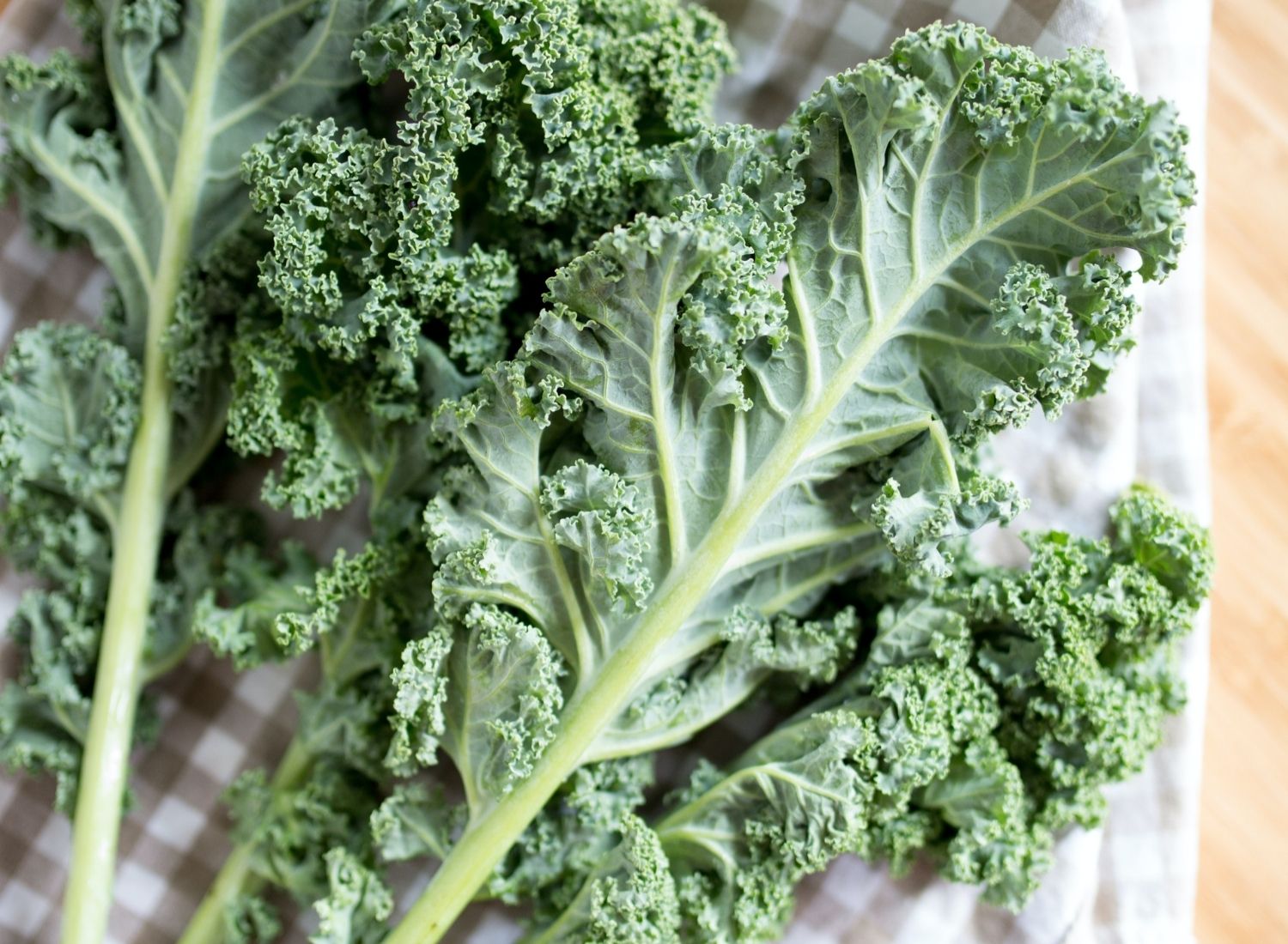 3 Fakta Menarik Sayuran Kale "Si Superfood" – Star Farm International